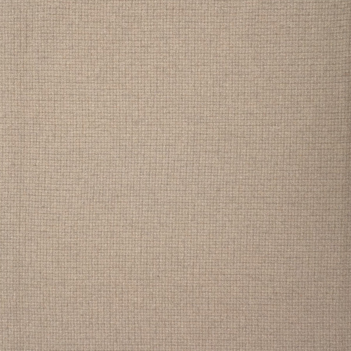 T23O06410 | Textured Cashmere Natté GRS – Nona Source