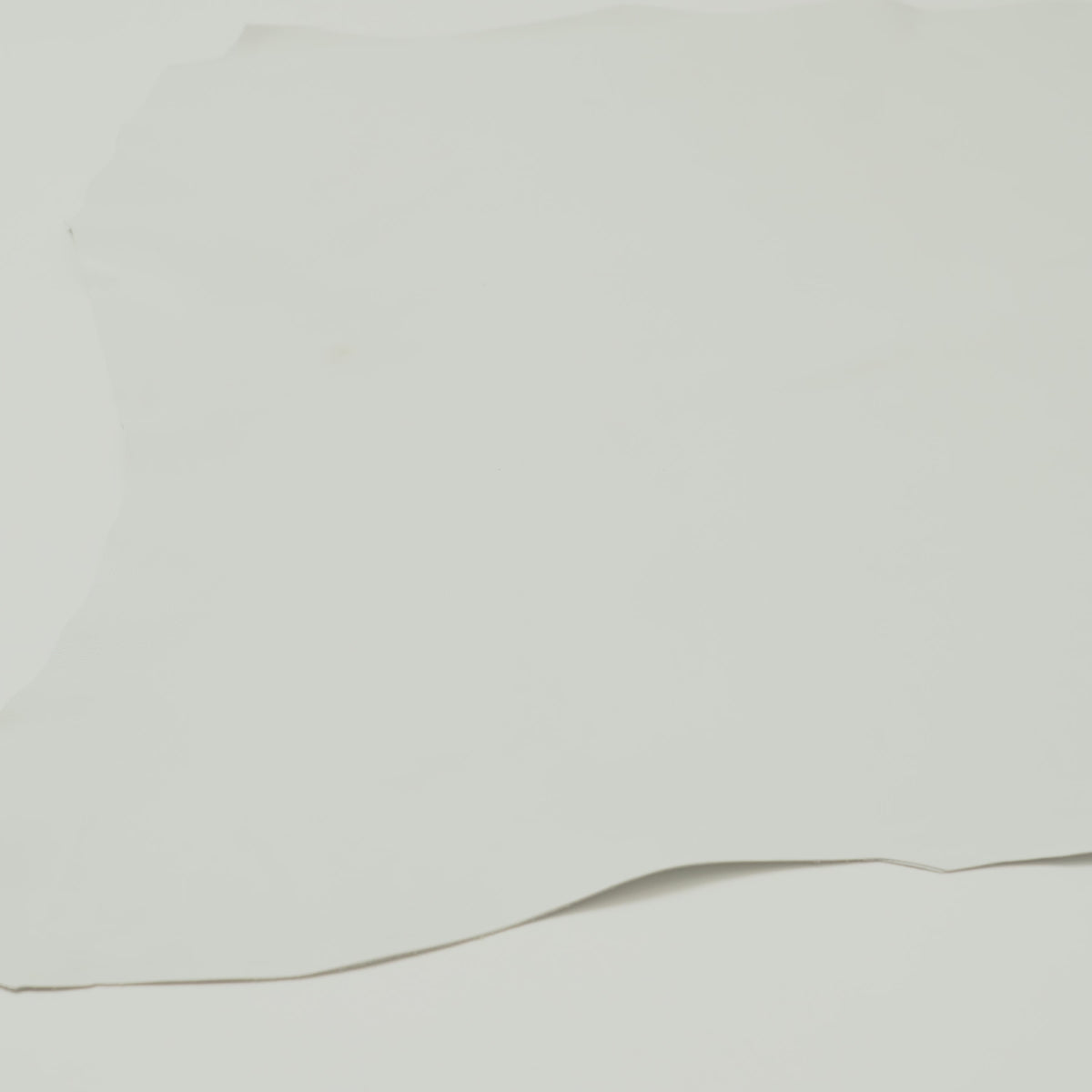 C24JL0141 | Supple Nappa Lamb – Nona Source