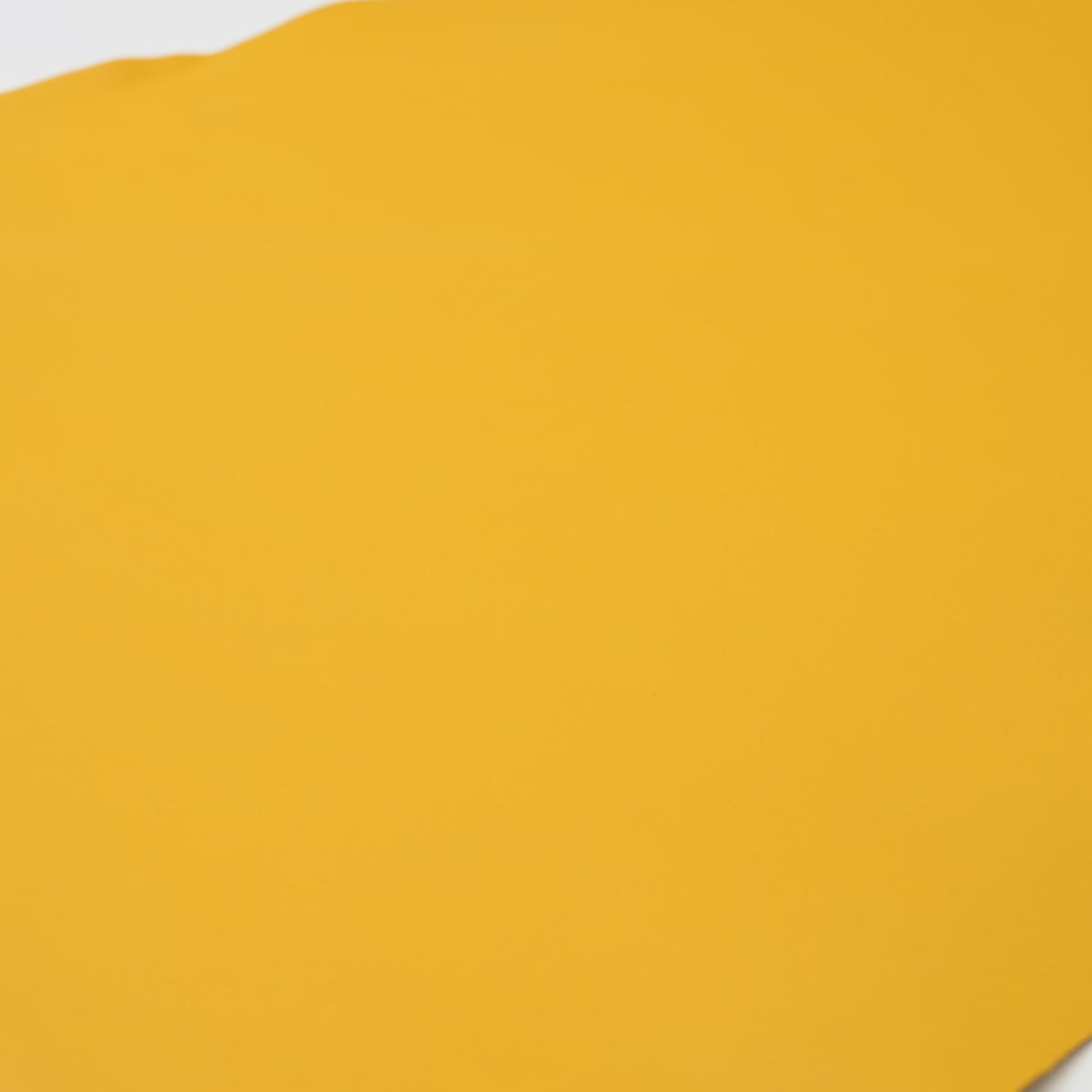 C24CL0167 | Full Grain Satinated Nappa Lamb – Nona Source