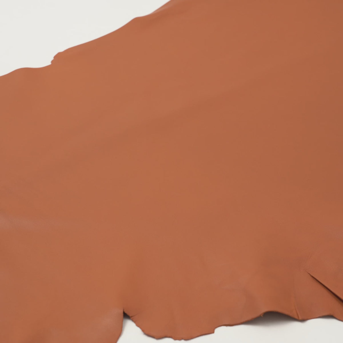 C24VL0070 | Full Grain Supple Nappa Lamb – Nona Source